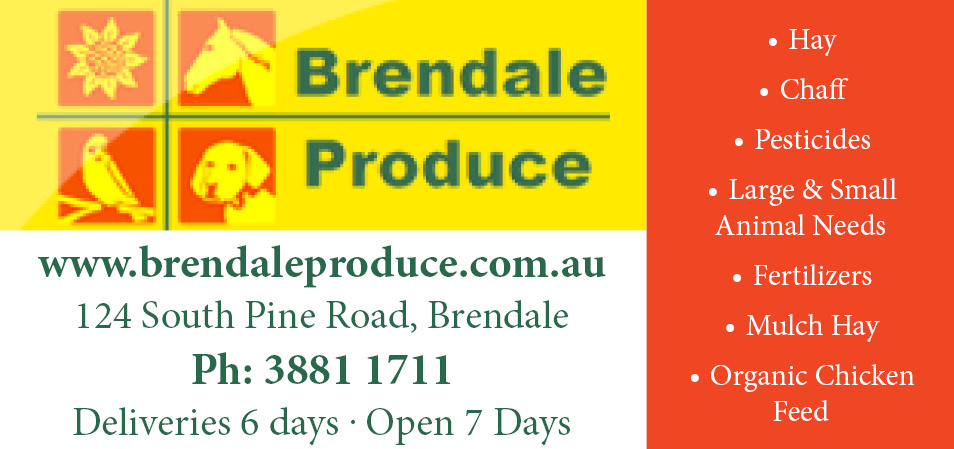 out & about magazine
